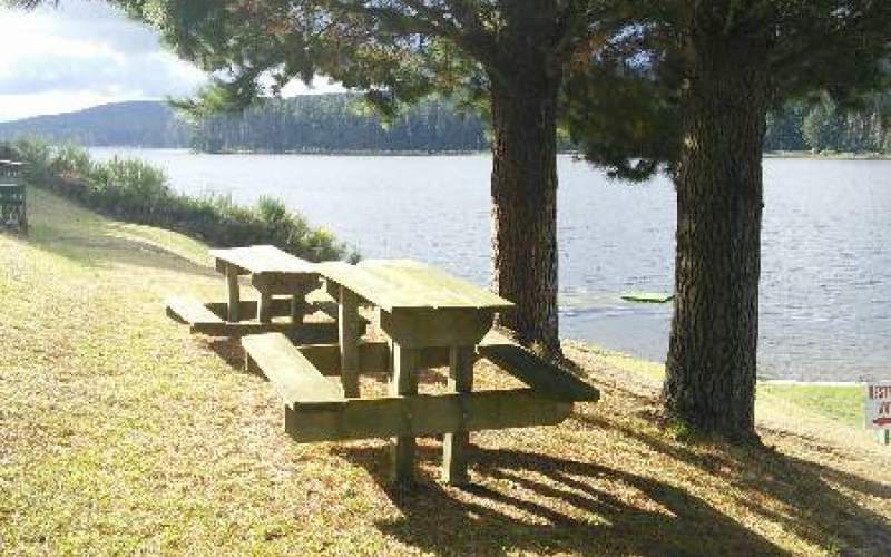 Whakamaru Recreation Reserve | Freedom/Basic Camp | New Zealand